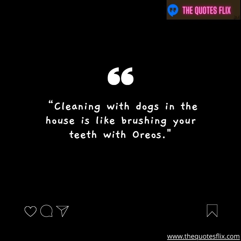 115 Best Inspirational Dental Quotes